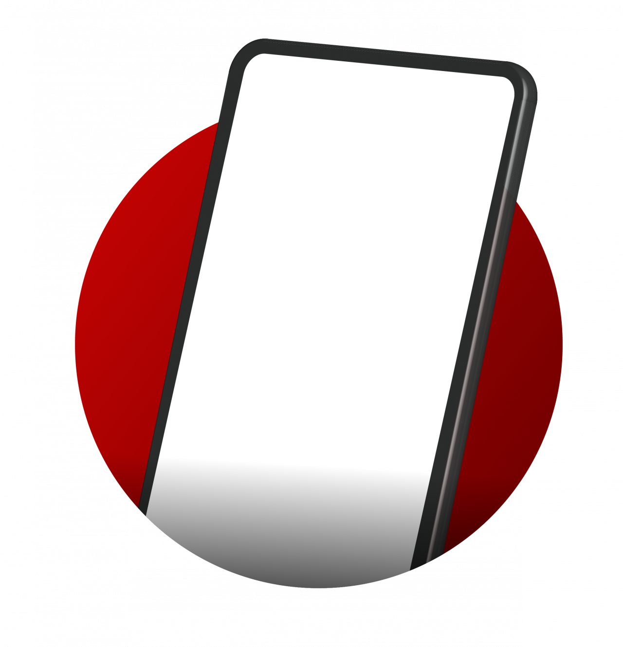 Handheld ERP - Director